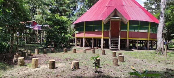 Amazon Nativo Lodge Tour And Excursion In The Amazon Jungle, Iquitos, Peru - Iquitos