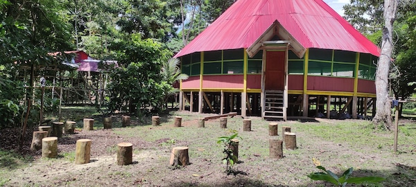 Amazon Nativo Lodge Tour And Excursion In The Amazon Jungle, Iquitos, Peru - Iquitos