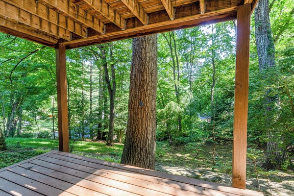 Modern 2-bedroom Oasis With Private Entrance! - Arlington, VA