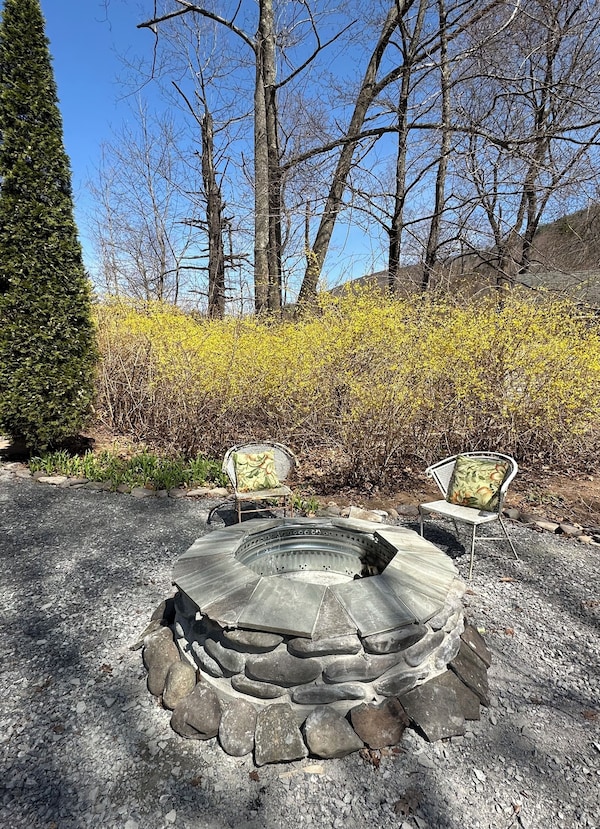 Charming 2-bedroom Cottage With Wifi And Ac In Fabulous Phoenicia - Phoenicia, NY