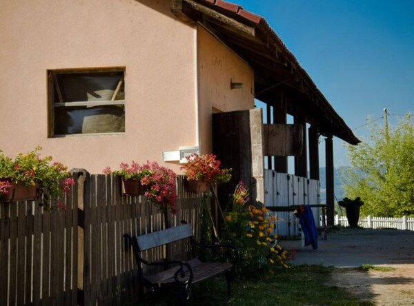Zevnik Quiet Retreat With Stunning Views And Equestrian Activities - Standard One Bedroom Apartment - Jesenice
