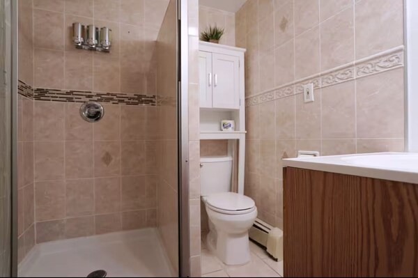 Spacious Apartment In Long Island City With Ac, Wifi - Ridgewood - Queens NY