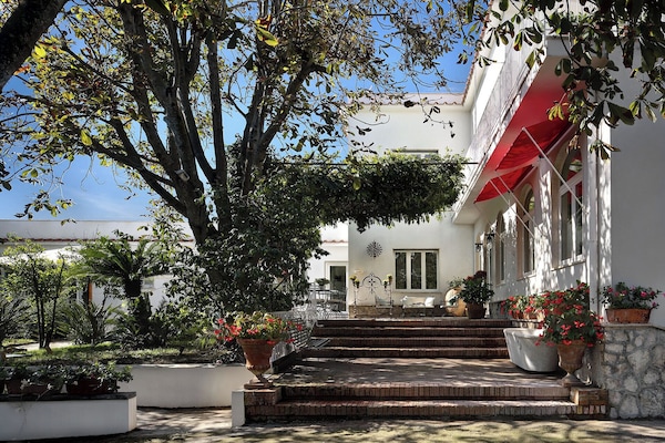 La Casa Bianca By Feeling Italy. Concierge Services, - Sorrento