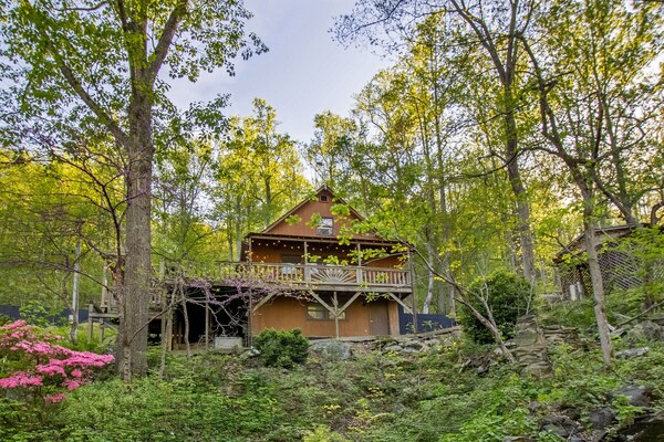 Peaceful Hideaway Near Shenandoah Pet Friendly - Early Mountain Vineyards, Madison
