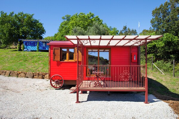 Caravan 'Volpe Rossa' Con Giardino Condiviso E Aria Condizionata - San Vincenzo