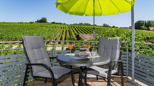Camera '207' Con Giardino Condiviso, Balcone E Wi-fi - Meersburg