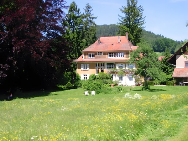 Ferienhaus 'Maisonette 1c' Mit Alpenblick, Privater Balkon Und Wlan - Schopfheim