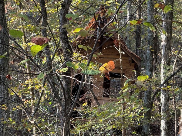 Unplug And Hide From The World In This Rustic South Pittsburg Cabin - Franklin State Forest, Sherwood