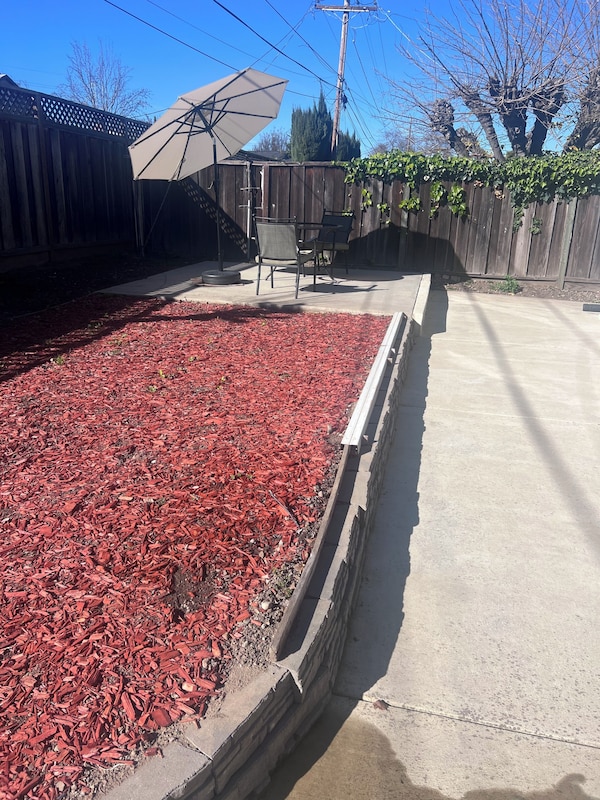 Best Value Charming Comfy 4b2b San Jose Prime Location - Seven Trees - San Jose