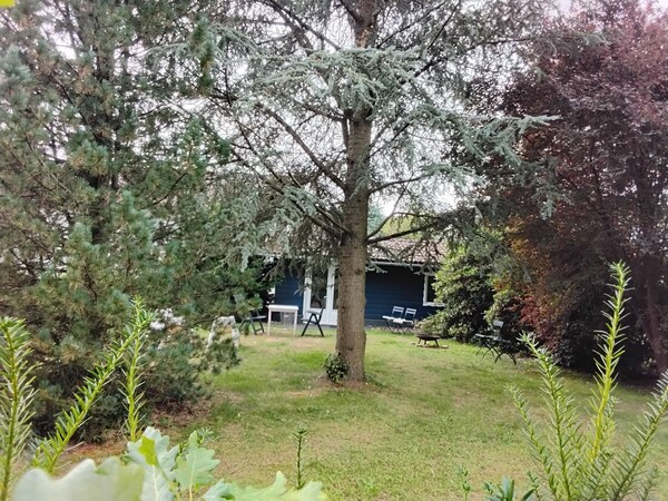 Vrbo Property - Harz