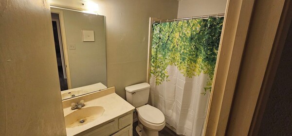 Chinatown Luxe Haven 2b/2b Entire - Sugar Land, TX