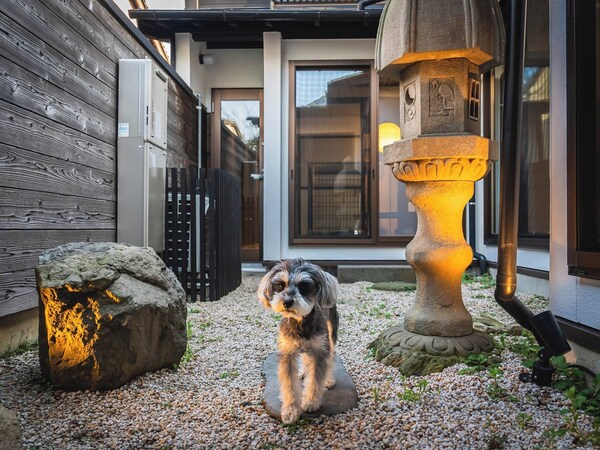 One Dog Is Allowed Free Of Charge Limited To One / Matsue Shimane - Matsue