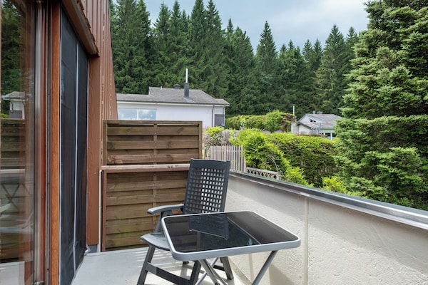 Apartment 1 'Eule, 42qm' With Balcony And Wi-fi - Triberg