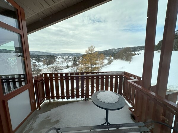 Fewo Rothirsch - Urlaubsgenuss Mal Zwei Mit Eigenem Stil (Mit Pool) - Schluchsee