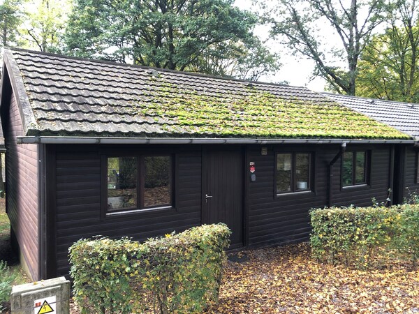 Chalet18 At Rendeux: Your Perfect Base For Rest And Adventure! - Tenneville