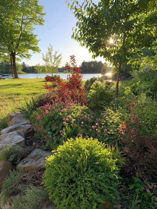 Private Cottage On 8 Wooded And Flower-filled Acres At Lake Wentworth And The Wentworth River - Nova Scotia