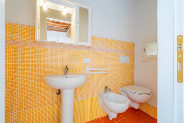 Apartment 'La Finestra Sull'anfiteatro' With Air Conditioning - Lucca