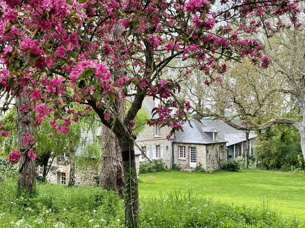 Charming House In Normandy Near Gerberoy With Swimming Pool An Tennis Court - Gournay-en-Bray