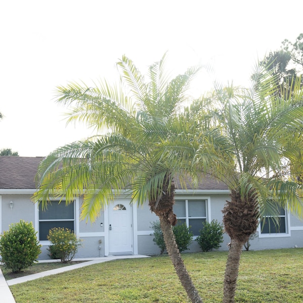 Peaceful Palm A Charming 3-bedroom House Near Babcock Ranch, In Fort Myers - Lehigh Acres, FL