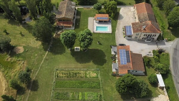 En Cayre - Perdrix - Montegut Lauragais - Revel