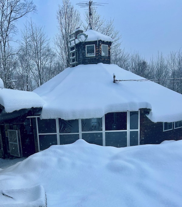 Mountain Cottage In The Woods. - Vermont