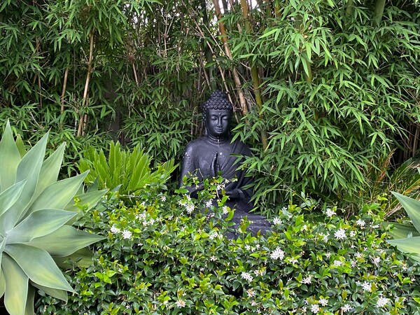 Cabbage Tree Art House. $50 Food & Drinks Voucher For All 3 Night Winter Stays. - Wollongong