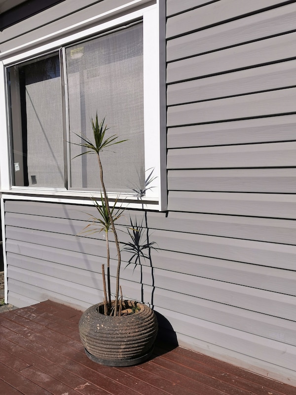 Three Bedrooms House For Families Centrally Located In Sydney - Auburn