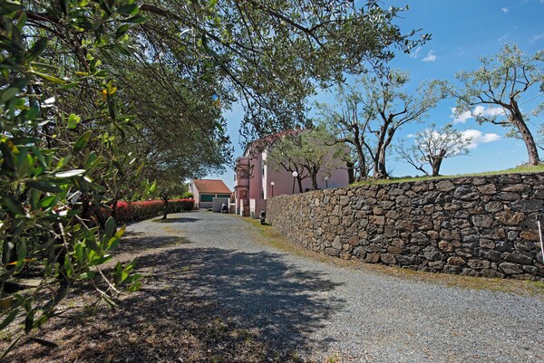 Appartamento 'Zafferano Suites - Basilico' Con Giardino Condiviso E Wi-fi - Varazze
