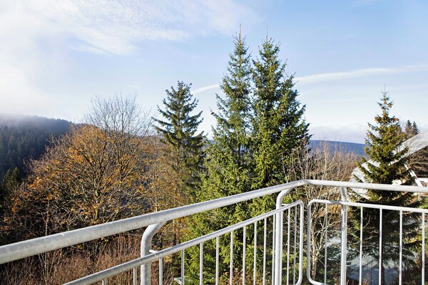Ferienwohnung 'Tannenblick 6-2' Mit Bergblick, Balkon Und Wi-fi - Zella-Mehlis