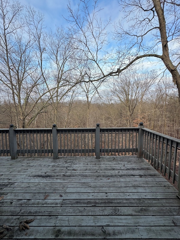 Completely Updated Monroe Lake Condo With Private Loft, Steps To Pool And Tennis - Indiana