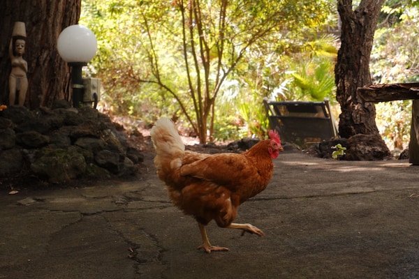 Etna Cottage Farm With Whirlpool - Milo