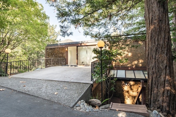 Charming 1 Bedroom Treehouse Retreat - Mill Valley, CA