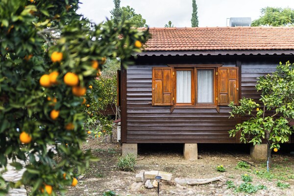 Tatil Evi Dilek çıRalı Türkiye - Çıralı