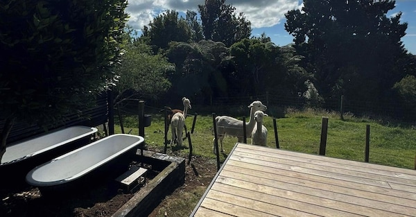 Rural Tiny Home Retreat Very Close To Town - Inglewood