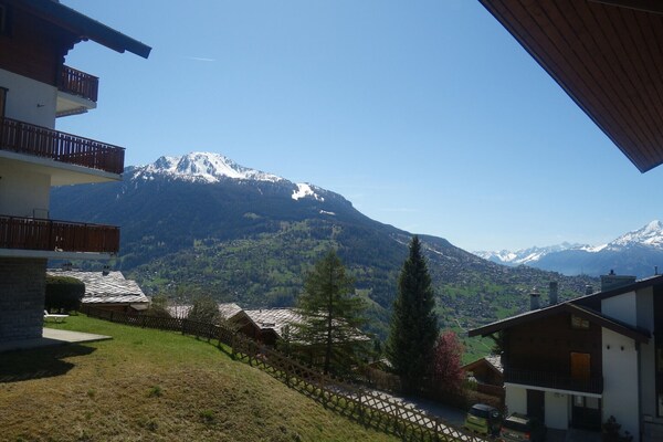 Wohnung, 600m Von Der Seilbahn - Schweiz