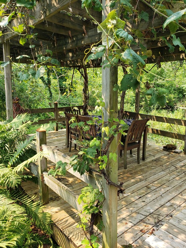 Funky Musical Cottage Near Lake Michigan Pet Friendly!!! - Muskegon, MI