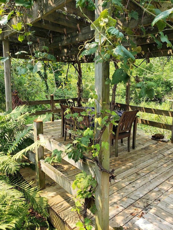Funky Musical Cottage Near Lake Michigan Pet Friendly!!! - Muskegon, MI