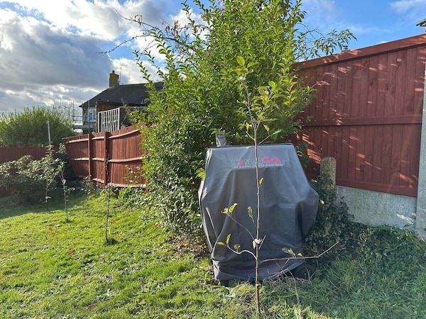 Cosy Family Home In Canterbury - Canterbury