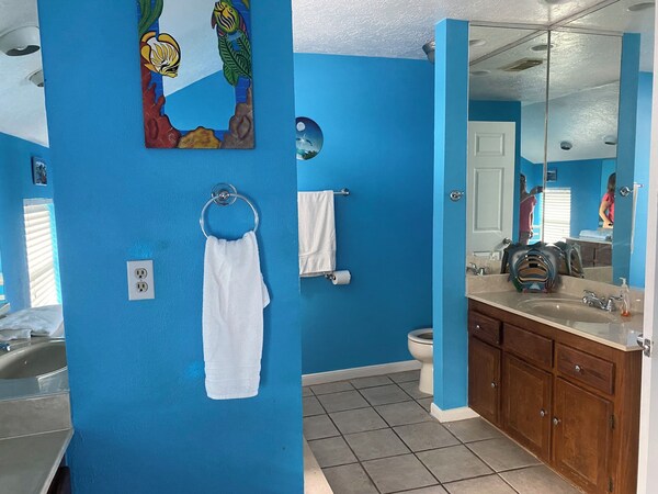 Romantic Or Family Oriented \Nbalcony Over Lake Conroe Easily Design For Fishing - Willis, TX