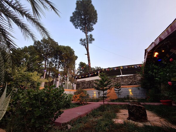 2 Bedroom & 5 Rooms Hostel Property In Pine Forest At Bir-billing  H.p. - Bir