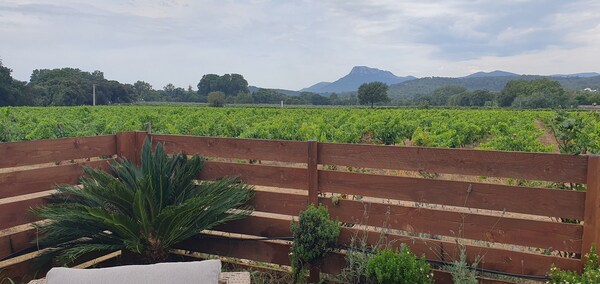 Charming House In Hyères Surrounded By Vineyards With Private Pool. - Carqueiranne