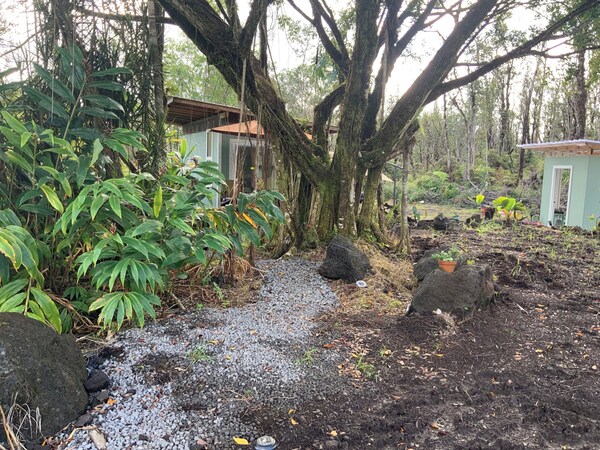Cozy Cabin Under Majestic Banyan Tree - Volcano, HI