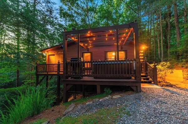 Sunset Peak - Dog Friendly & Spotless - Wineries, Shops, Restaurants Nearby - Ellijay, GA