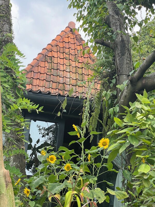 Villa Ecoforest Haven 5eyesfarm - Bogor