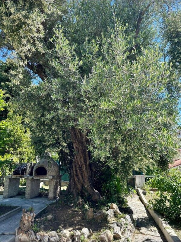 Havre De Paix Villa With Garden, Terrace And Just A Stone's Throw From The Beach. - Saint-Laurent-du-Var