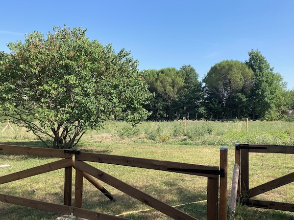 Country Studio, Relaxation, Sport In The Heart Of Nature... - Forcalquier