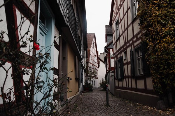 Stylish, Cozy & Perfectly Connected - Feeling At Home Frankfurt Höchst - Frankfurt
