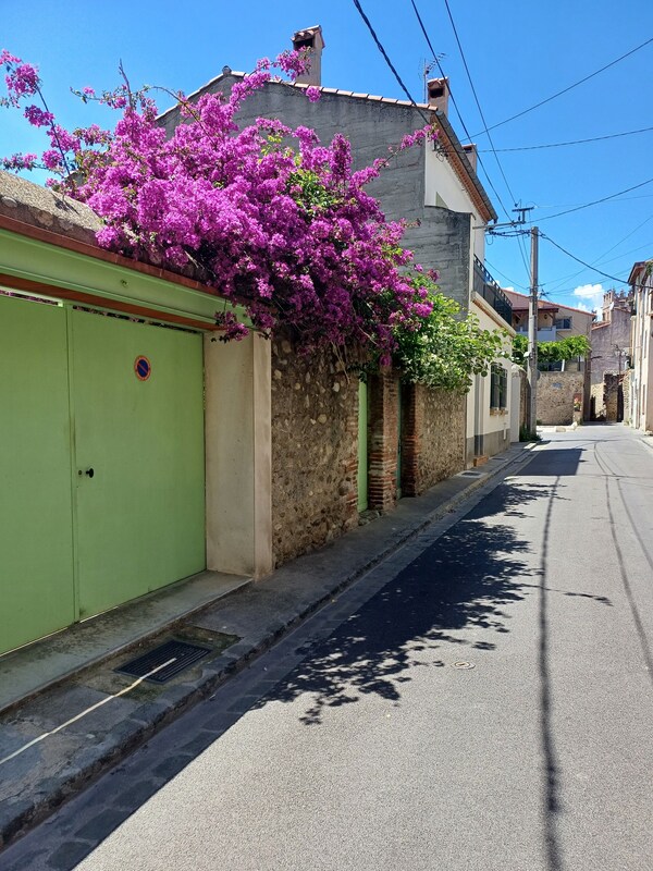 Ville Touristique à Proximité De Perpignan. - Ille-sur-Têt