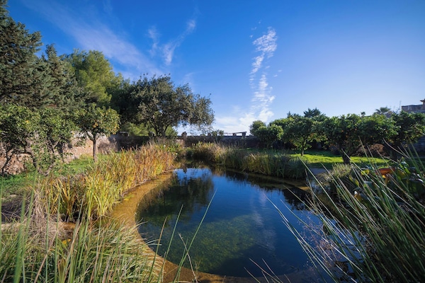 Villa Agrumeta - Private Natural Bio Pool, Lecce, Italy - Lecce