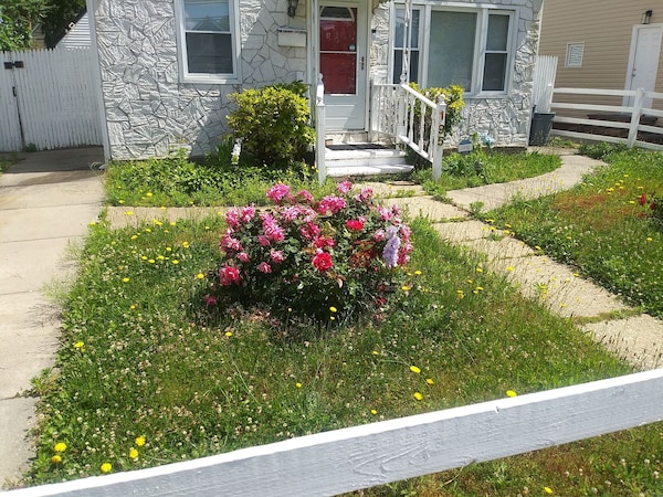 Pearl's Cape Cod/near Hempstead Lake Park - Garden City, NY